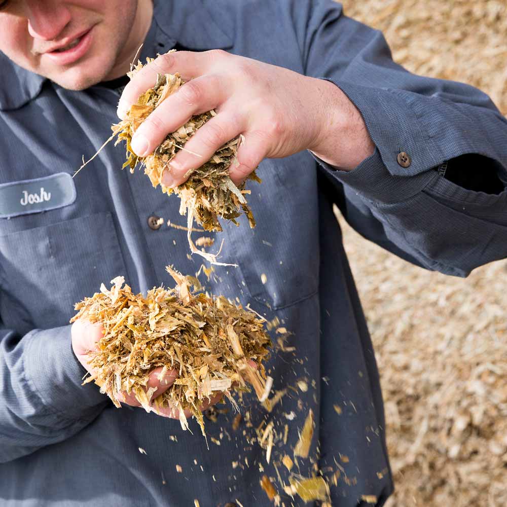 RumInsight - AgSource