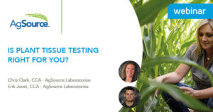 Crop and plant tissue testing services from AgSource Laboratories -Sampling