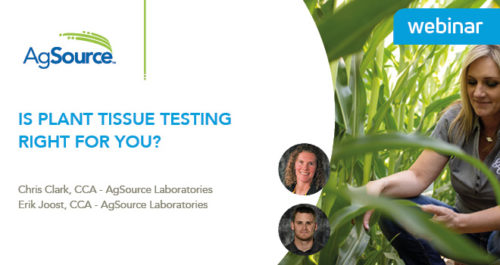 Crop and plant tissue testing services from AgSource Laboratories -Sampling