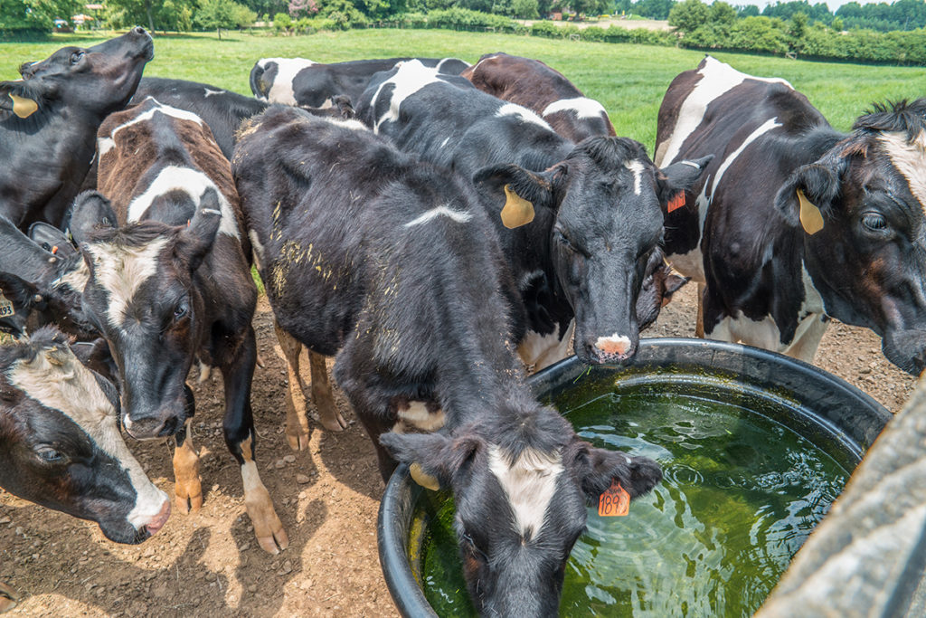 How Well Do You Know Your Water? - AgSource