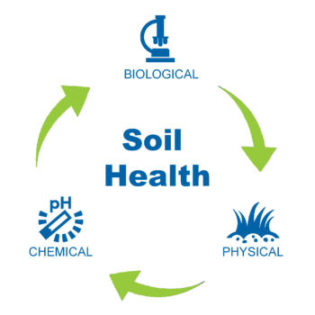 Soil Health Testing Services | AgSource Laboratories